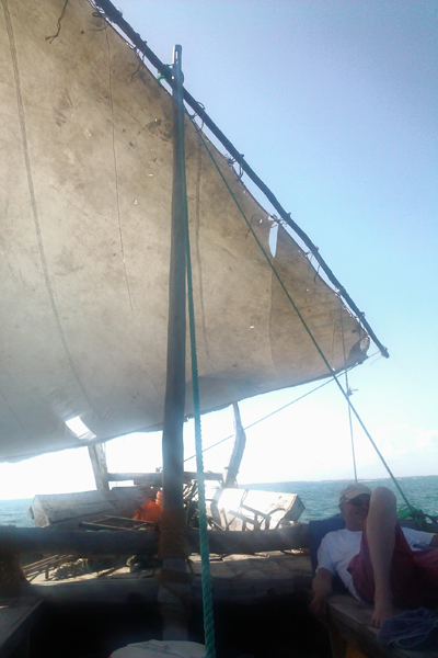 Safari blue | Colors of Zanzibar