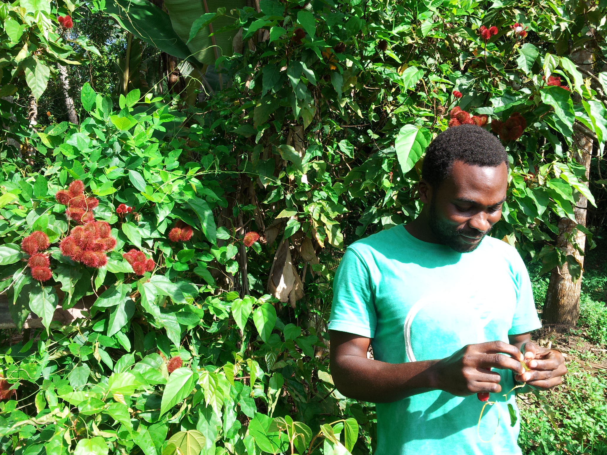 khamis at farm | Colors of Zanzibar