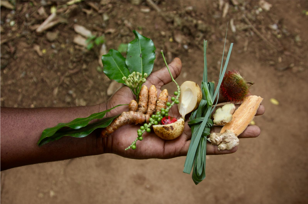 Zesty Zanzibar | Food Tour with a Cooking Lesson | Colors of Zanzibar