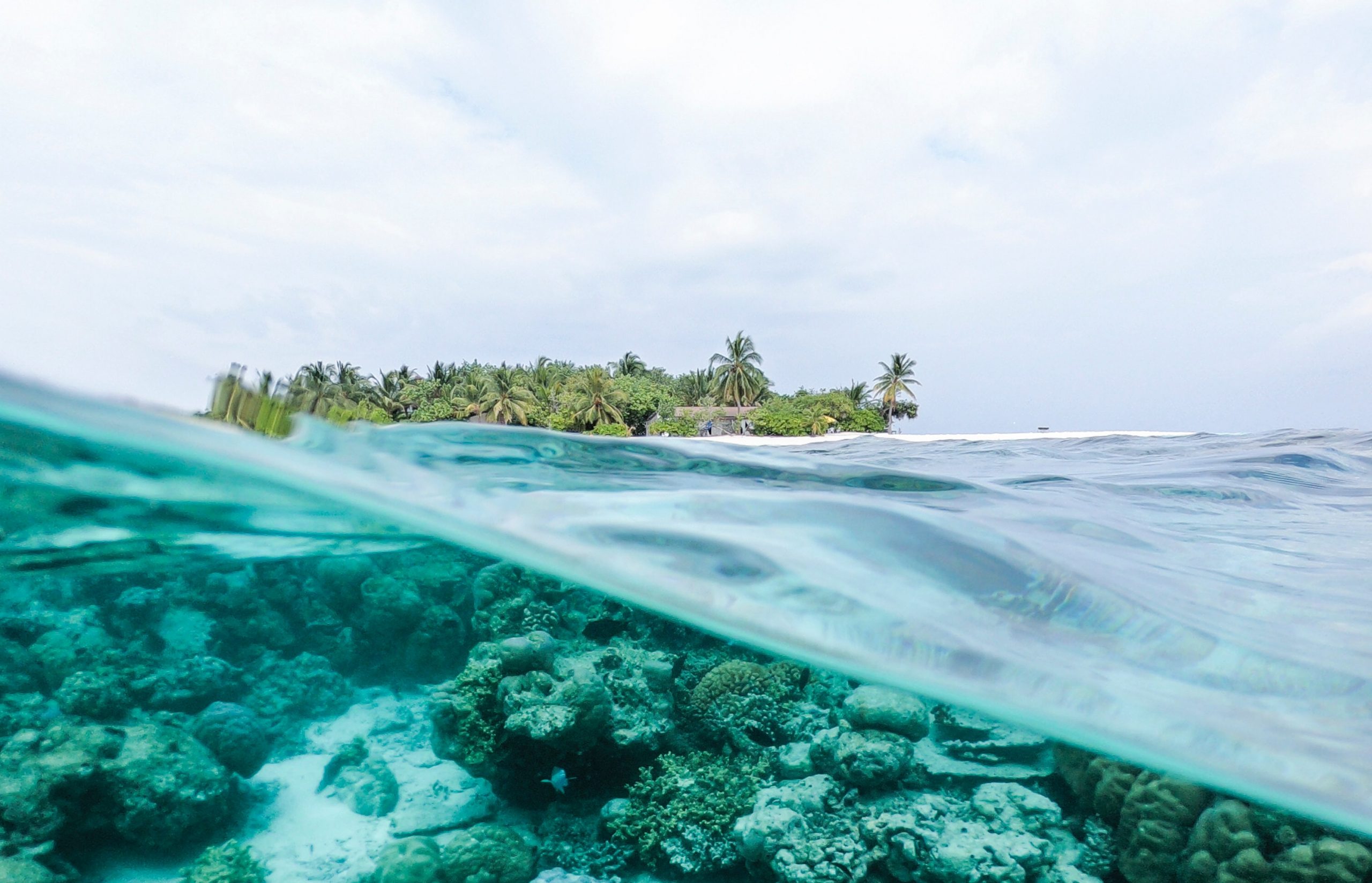 Misali Island | Coral Reefs & Beautiful Nature | Colors of Zanzibar