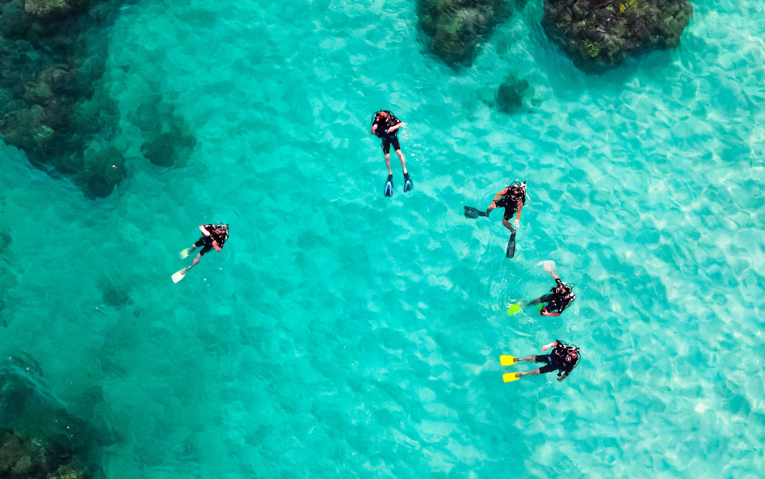 Diving & Fishing in Zanzibar | Sustainable Tourism | Colors of Zanzibar